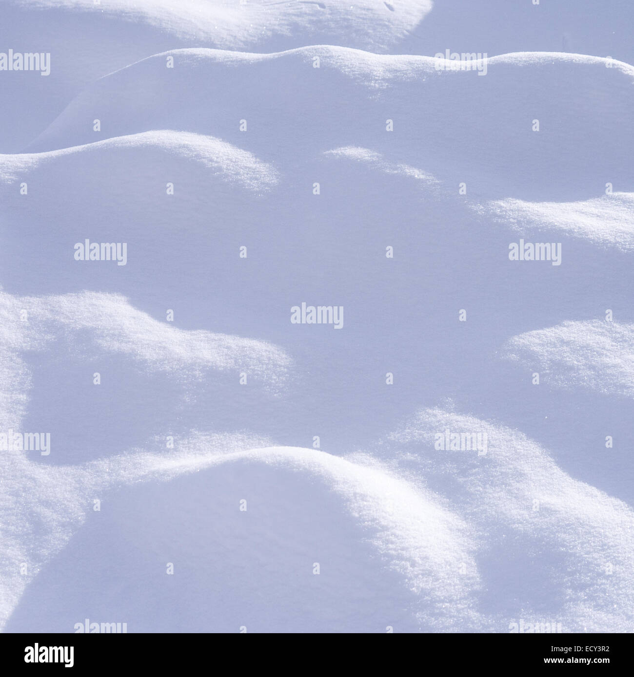 background of new fallen snow, sunlight and shadows Stock Photo - Alamy