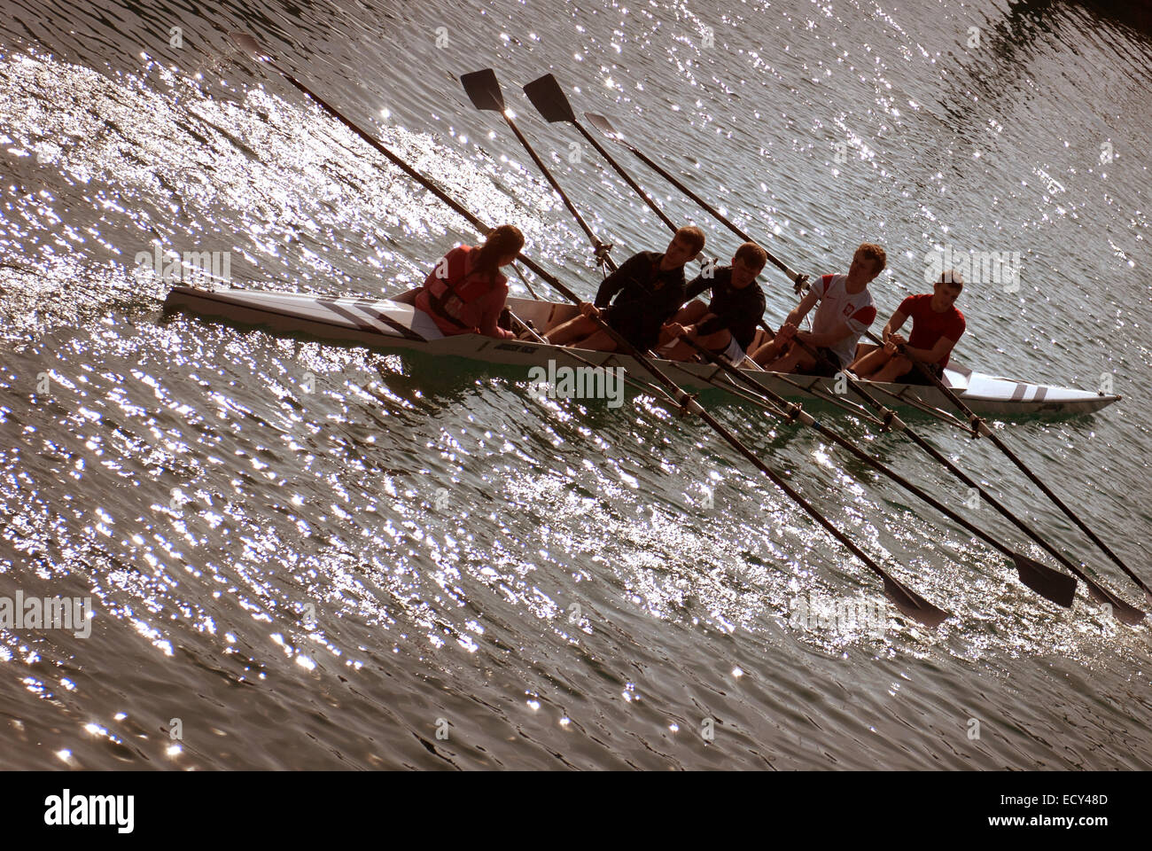 Coxed four scull rowing boat torquay hi-res stock photography and ...