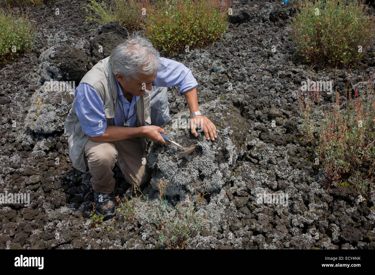 Volcanologist High Resolution Stock Photography and Images - Alamy
