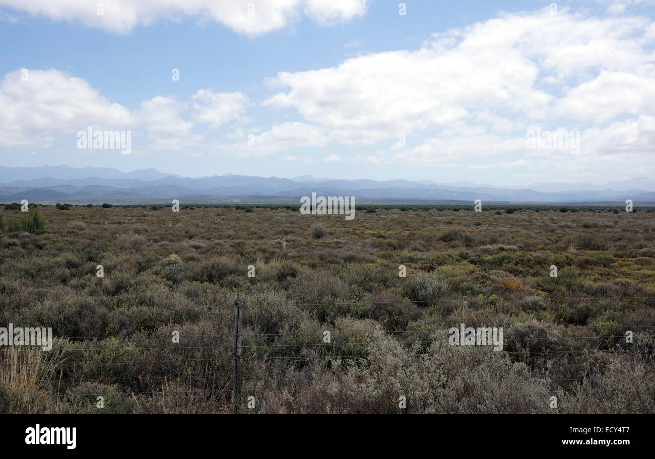 The landscape of the Little (Klein) Karoo, Southern Cape, South Africa ...
