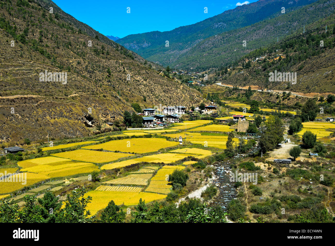 Landscape with rice paddies in the Thimphu Valley, Thimphu, Bhutan ...