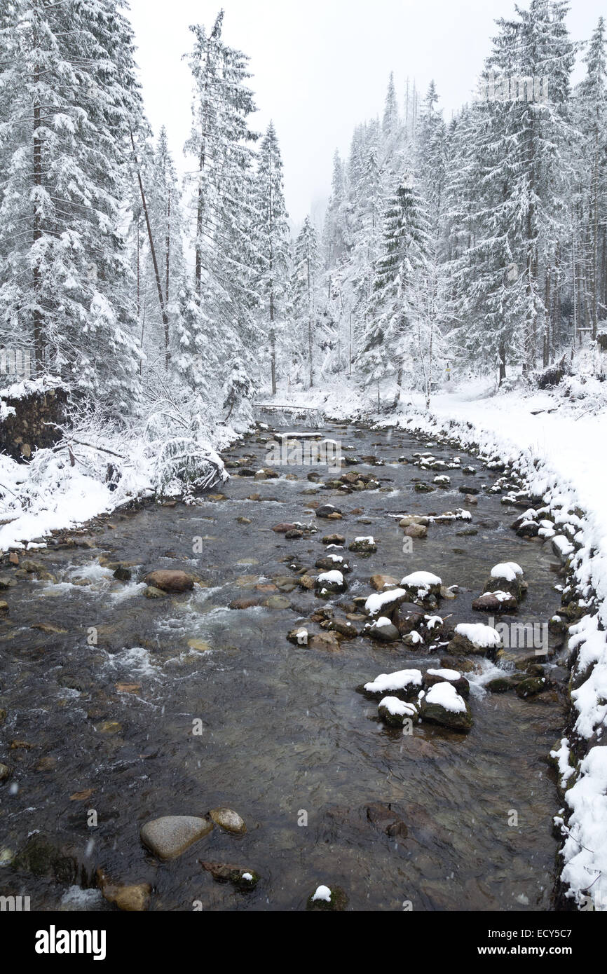 Zakopane snow hi-res stock photography and images - Alamy