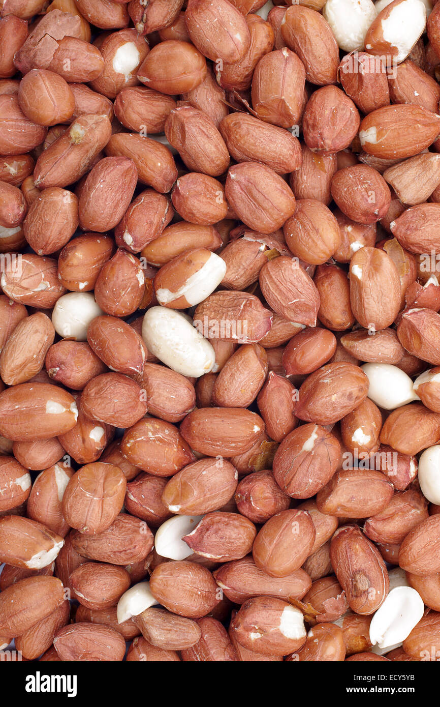 Raw shelled peanuts used as bird food or for producing snacks or oil ...