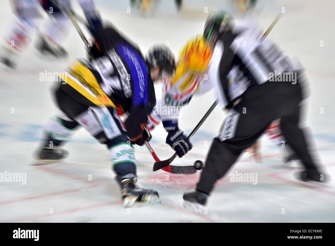 Hockey players at face-off with linesman, motion blur Stock Photo - Alamy