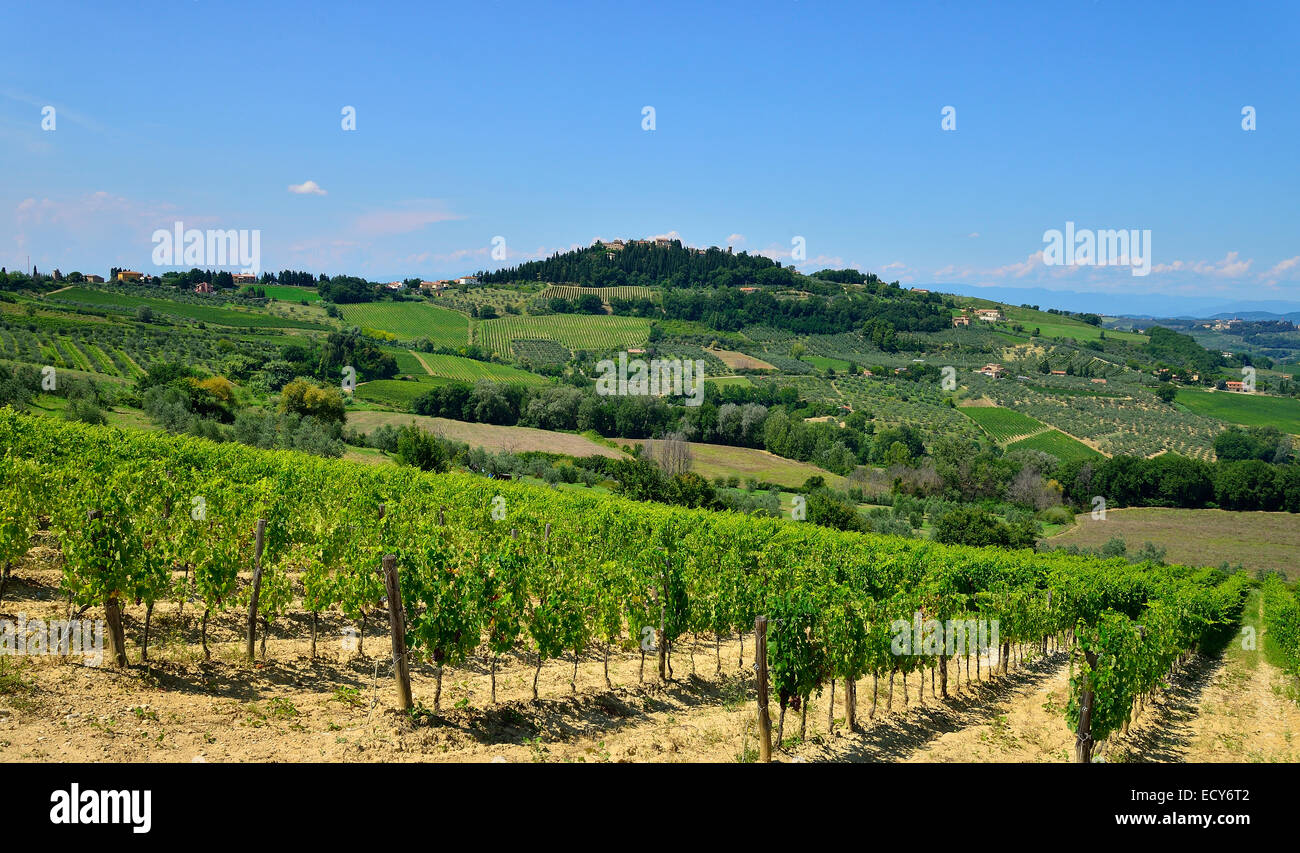 Landscape with vineyards in the Chianti Classico winegrowing area ...