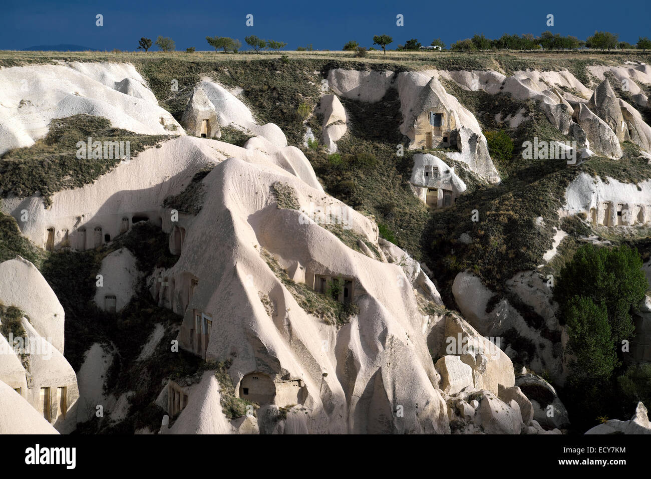 Cave pigeon hi-res stock photography and images - Alamy