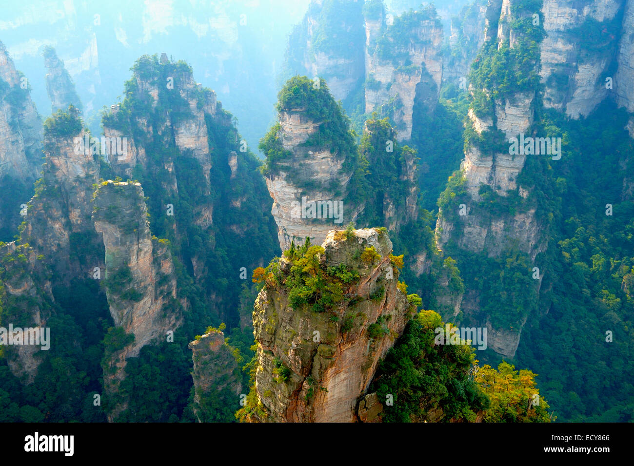 "Avatar" mountains with vertical quartz sandstone rocks, Zhangjiajie ...