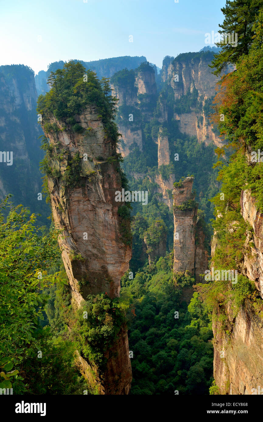 "Avatar" mountains with vertical quartz sandstone rocks, Zhangjiajie ...