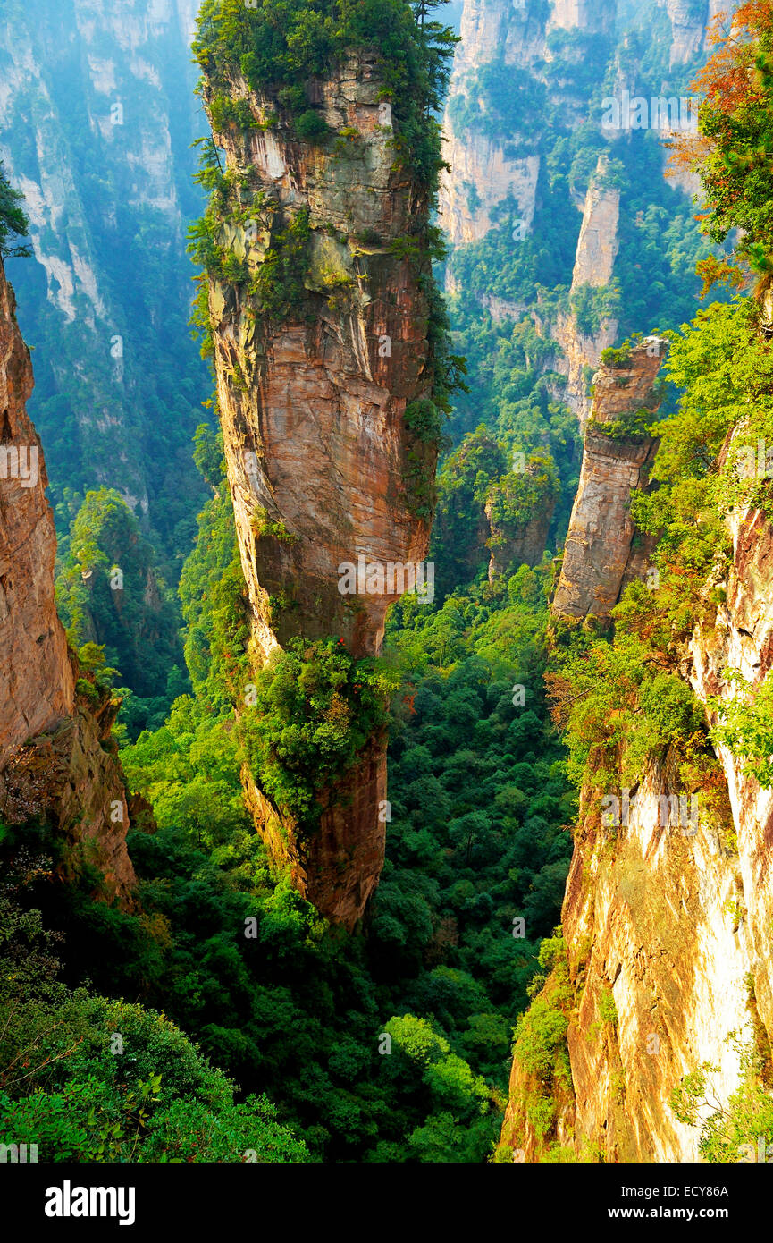"Avatar" mountains with vertical quartz sandstone rocks, Zhangjiajie ...