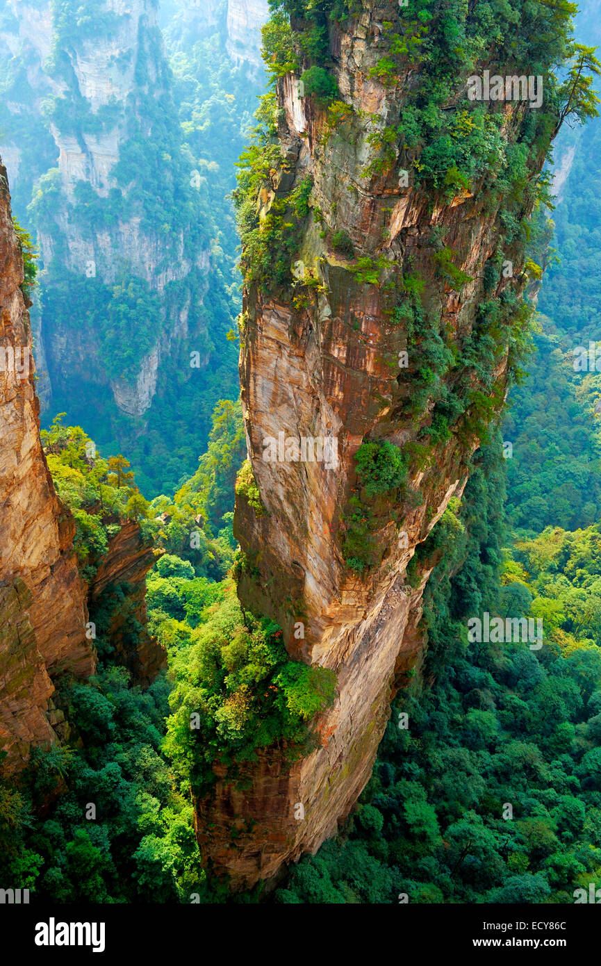 "Avatar" mountains with vertical quartz sandstone rocks, Zhangjiajie ...