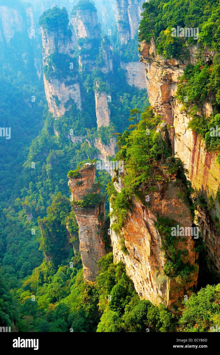 "Avatar" mountains with vertical quartz sandstone rocks, Zhangjiajie ...