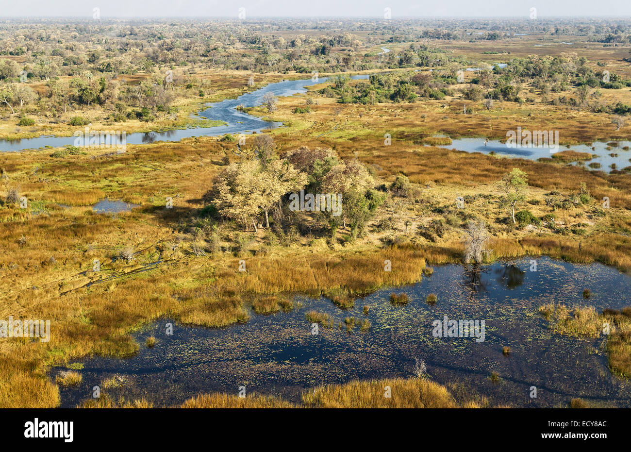The Gomoti River with its adjoining freshwater marshland, aerial view, Okavango Delta, Botswana ...