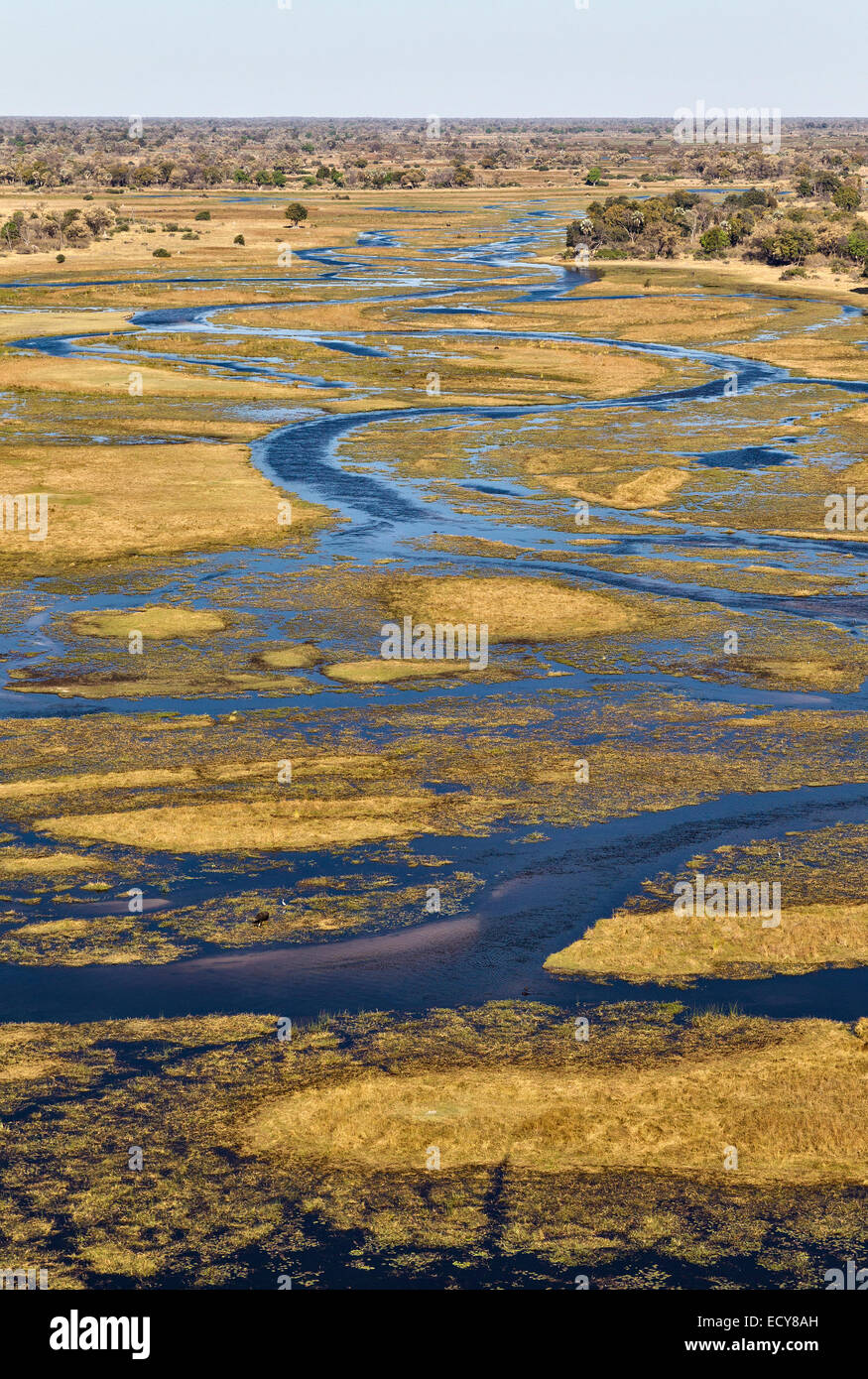 The Gomoti River with its channels, islands and adjoining freshwater ...