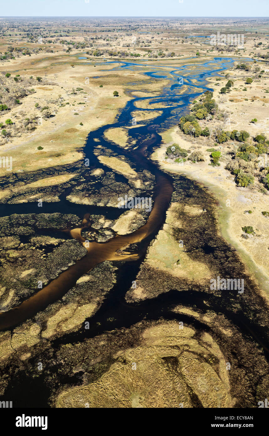The Gomoti River with its channels, islands, sandbanks and adjoining freshwater marshland ...