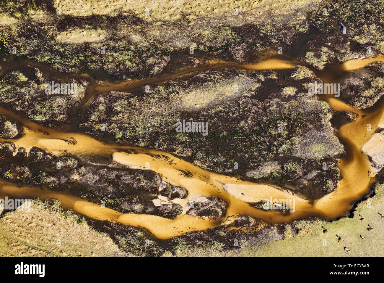 Freshwater marshes with sandy streams, channels and islands, aerial ...
