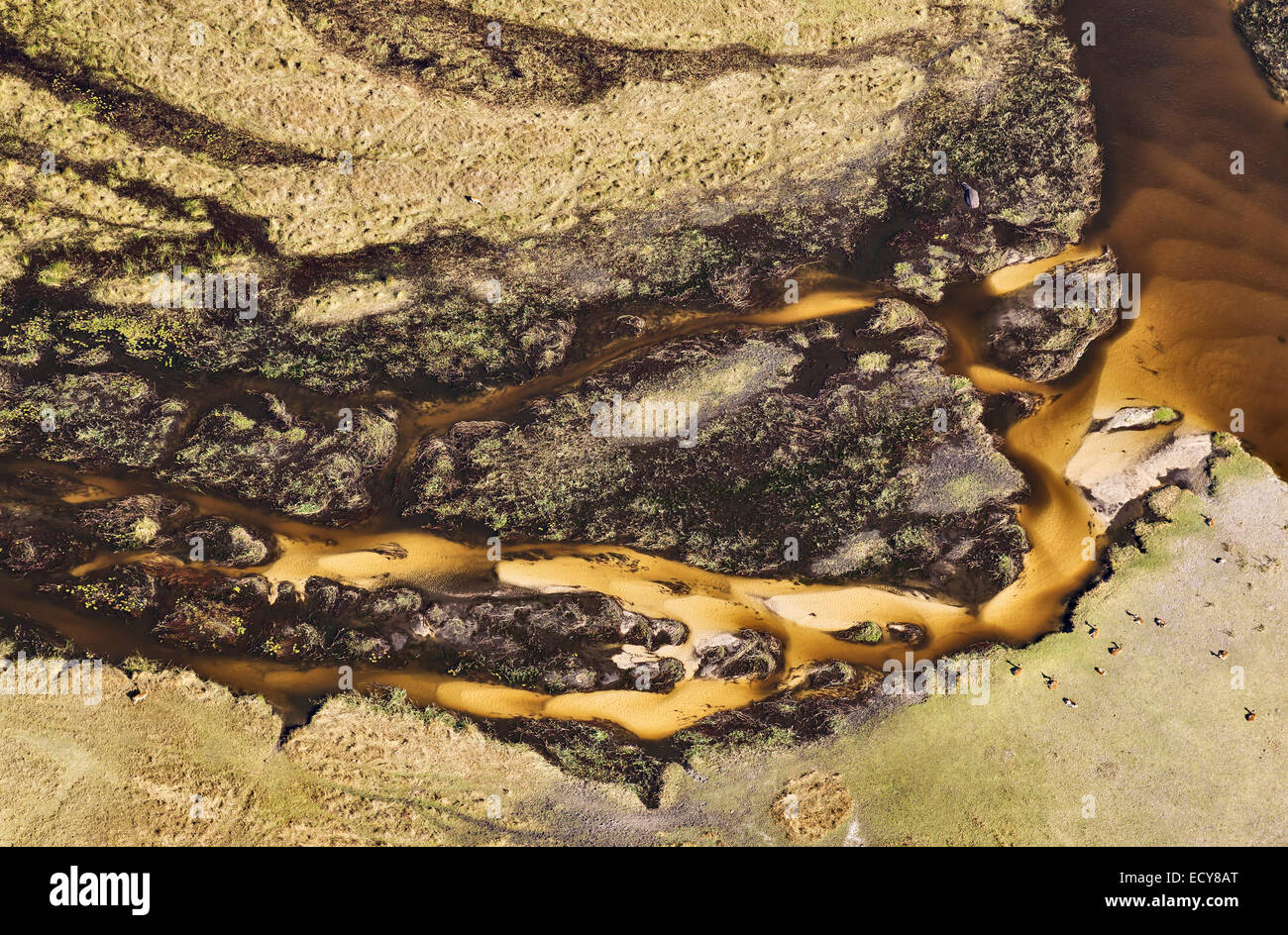 Freshwater marshes with sandy streams, channels and islands, aerial ...