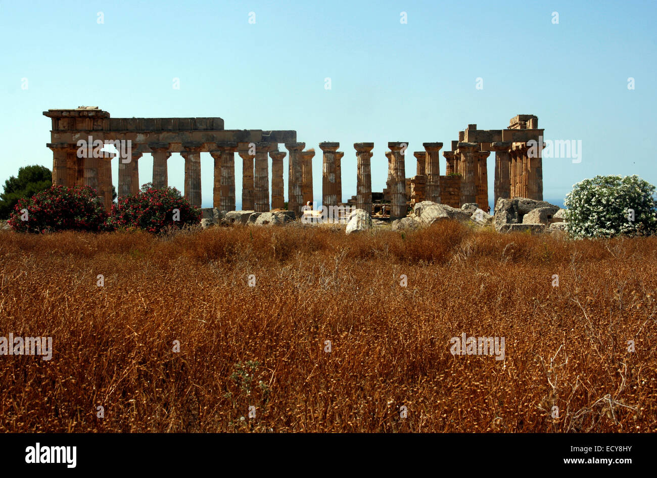 Greek ruins at Selinunte, Sicily, Italy Stock Photo - Alamy