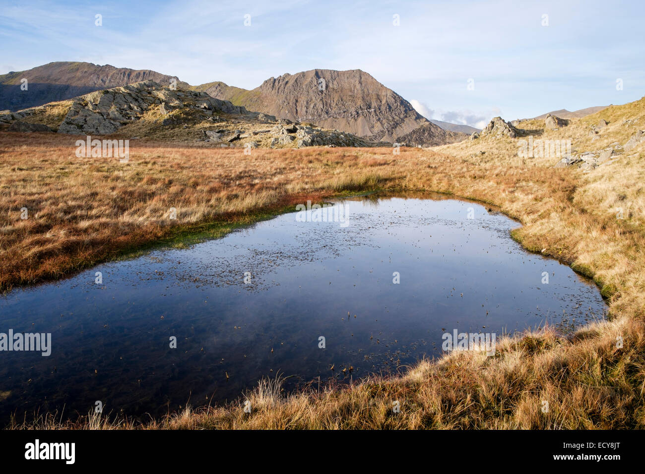 View to Carnedd Ugain (Crib y Ddysgl) and Crib Goch from Gallt y ...