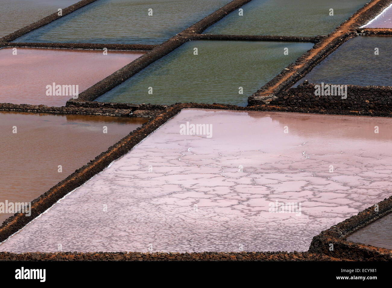 Sea salt production, dry basins, salt pans, Salinas de Janubio ...