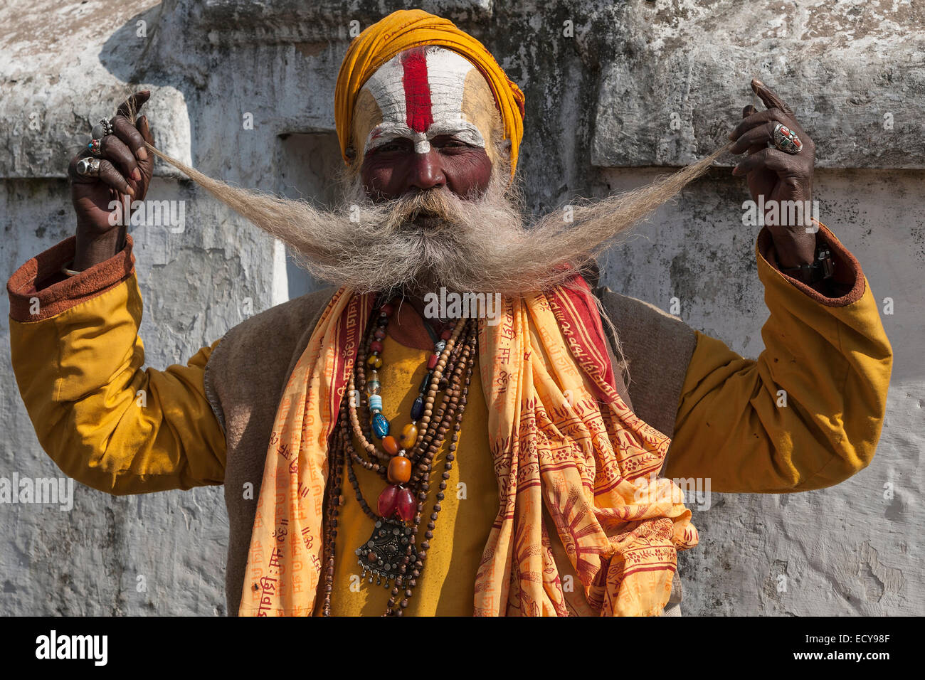 Sadhu with a long beard, painted face, portrait, Pashupatinath ...