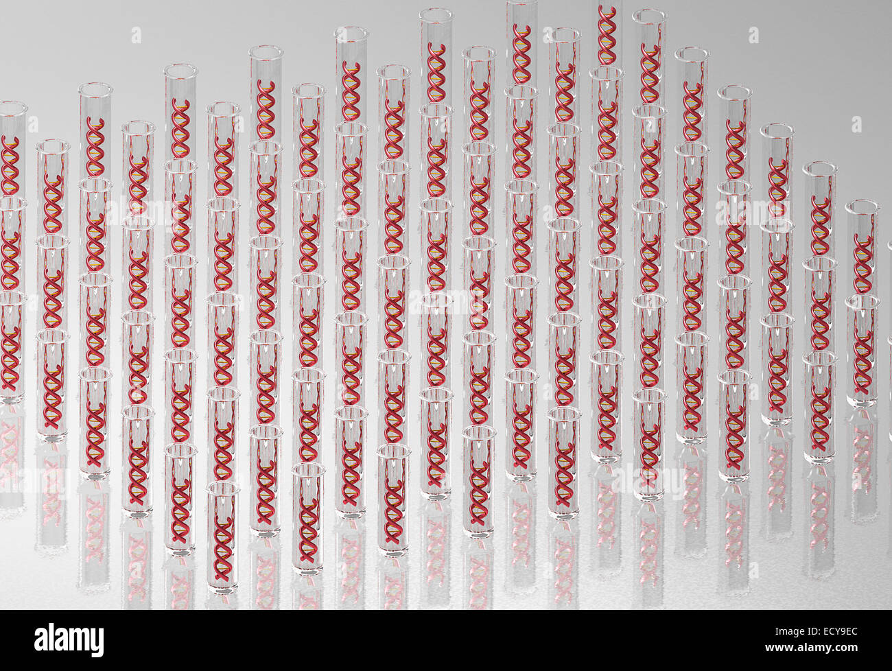 Illustration of test tubes and models of DNA Stock Photo - Alamy