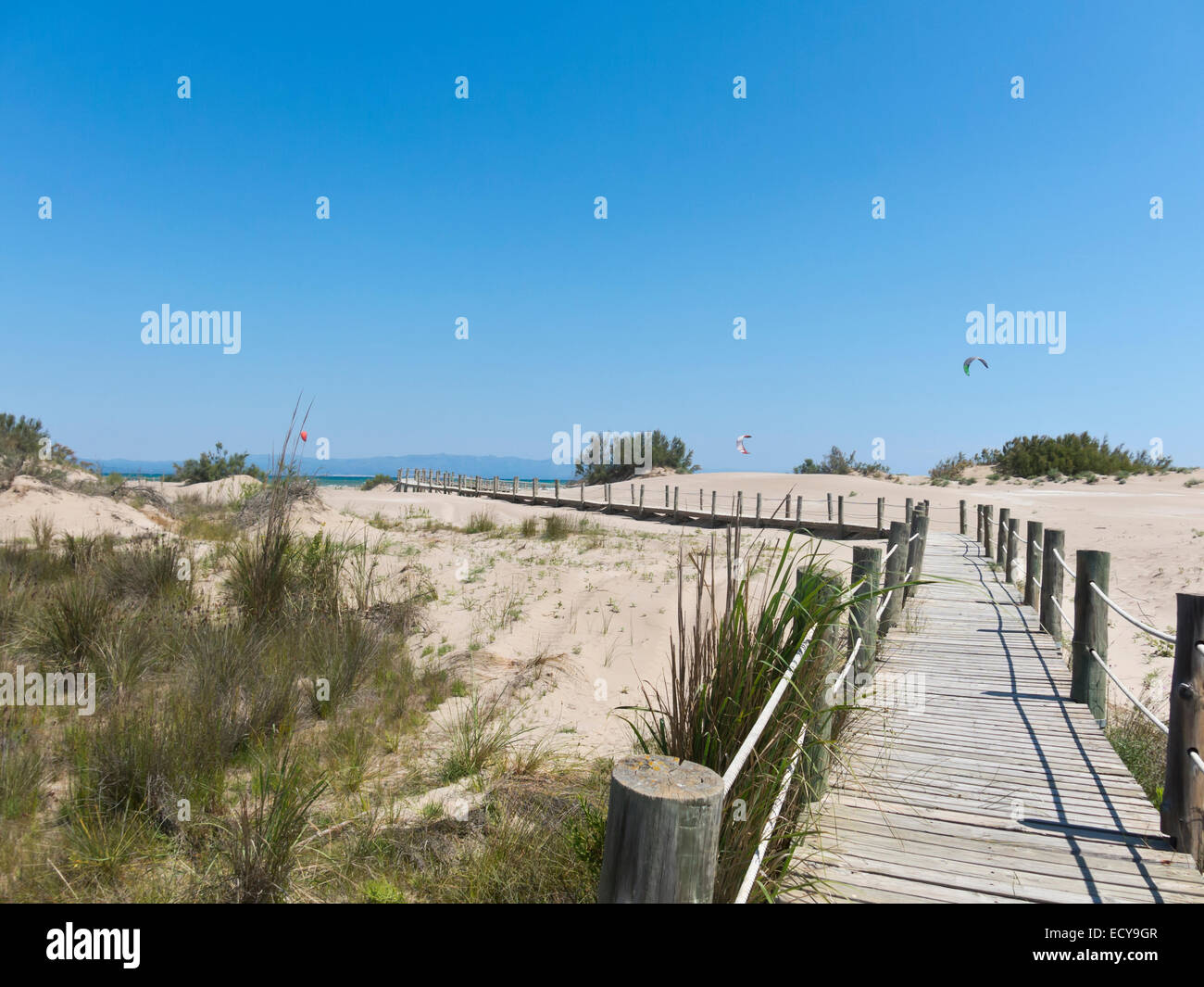 The Ebro Delta National Park is located at the mouth of the Ebro river ...
