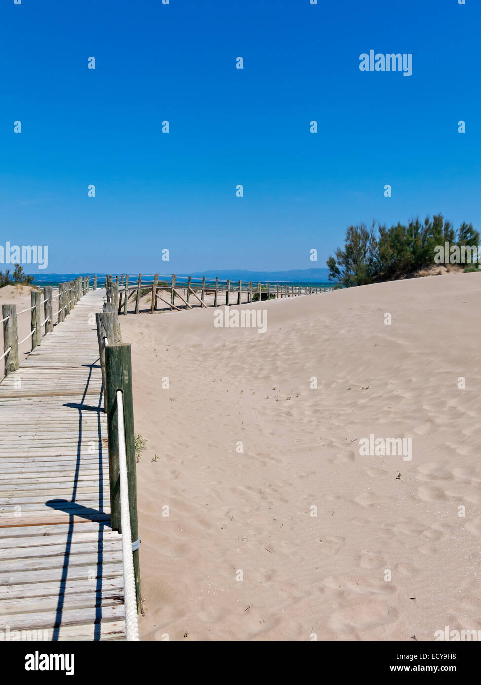 The Ebro Delta National Park is located at the mouth of the Ebro river ...