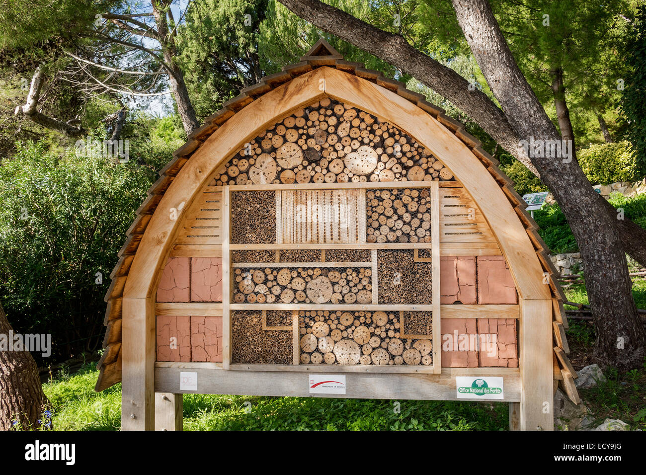 Leaf Cutter Bee Hives (megachilids) Monte Carlo Monaco Stock Photo - Alamy