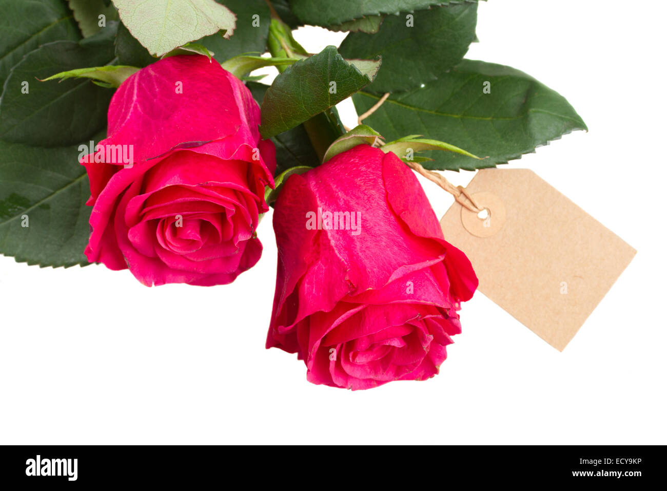 pink flowers with tag Stock Photo - Alamy