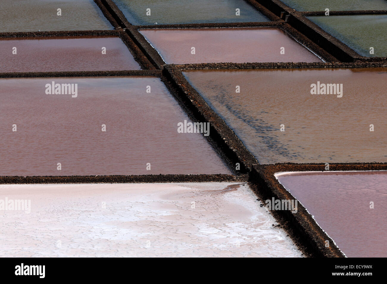 Sea salt production, dry basins, salt pans, Salinas de Janubio ...