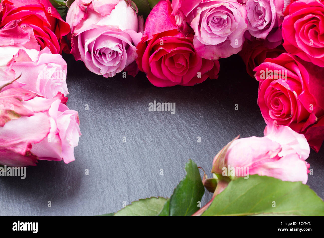 red and pink roses frame on table Stock Photo - Alamy