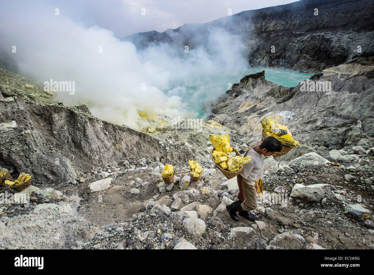 Sulphur miners of Kawah Ijen, Java, Indonesia Stock Photo - Alamy