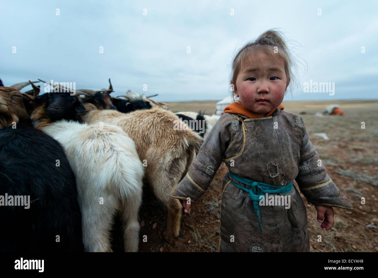 Nomad girl of the Gobi desert, Mongolia Stock Photo - Alamy