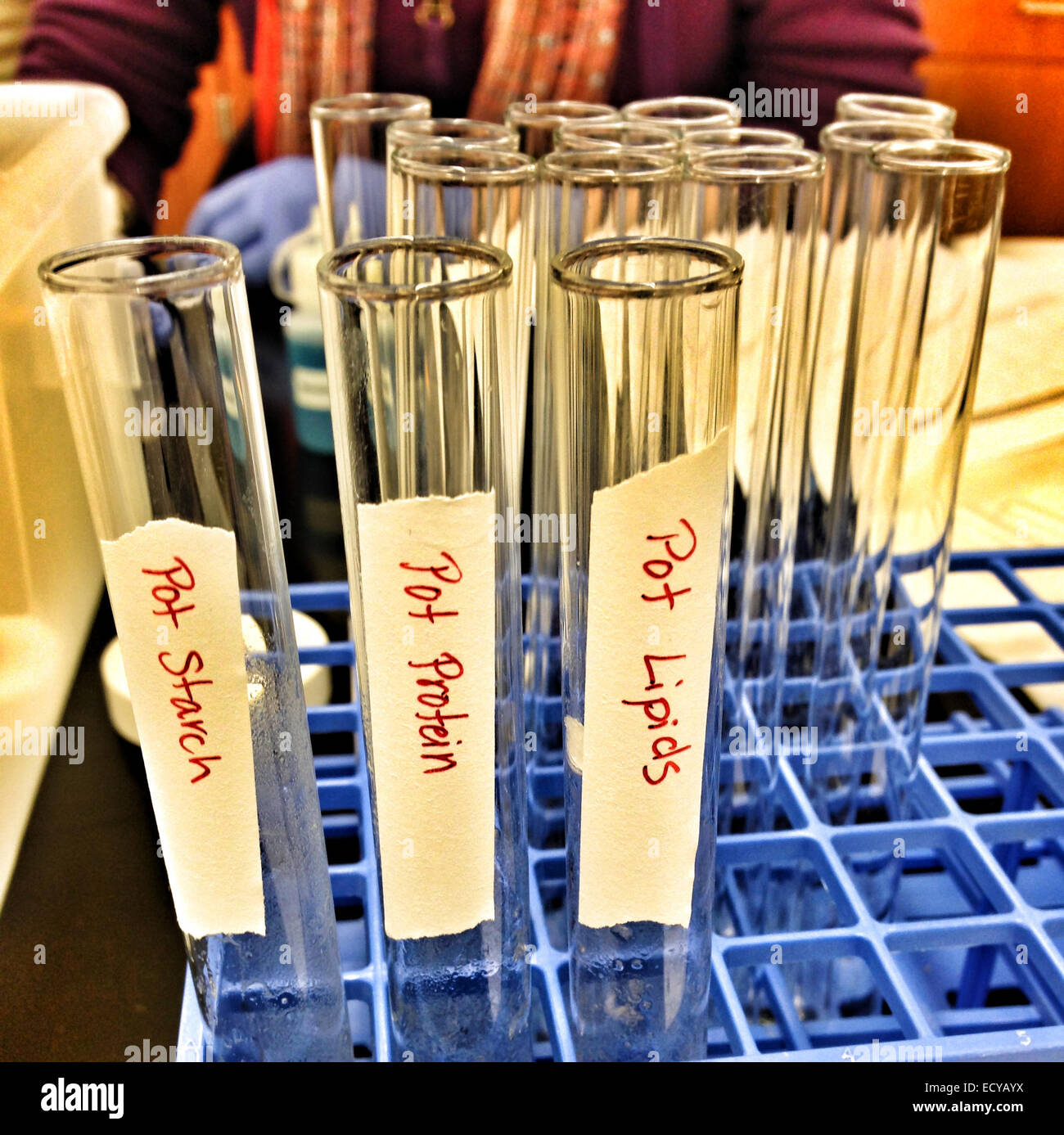 Close up of labeled test tubes in laboratory Stock Photo - Alamy