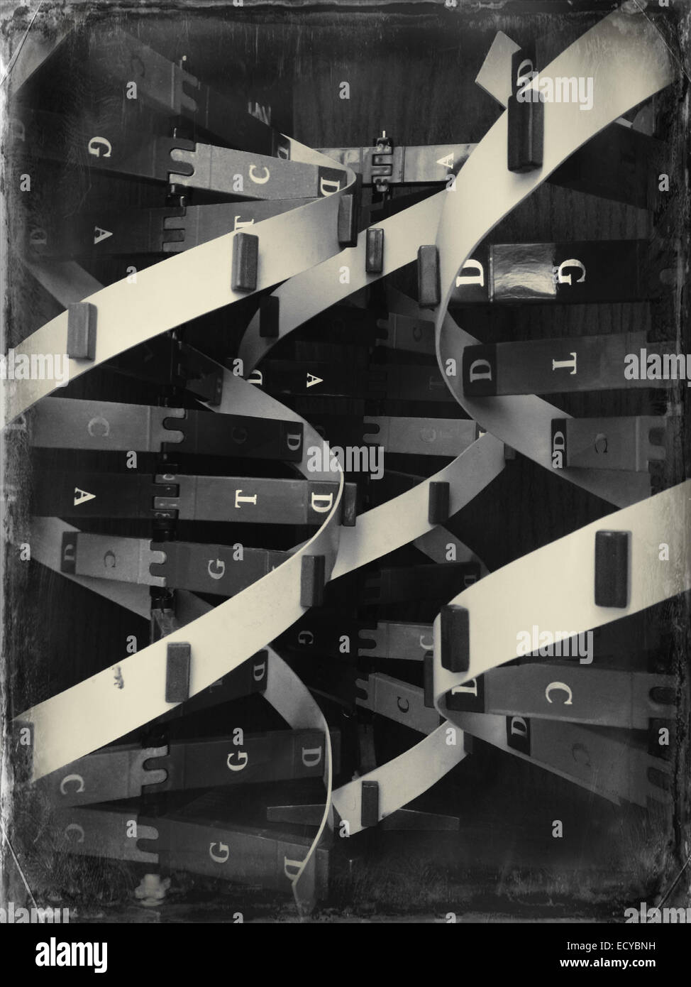 Close up of DNA molecular model Stock Photo - Alamy