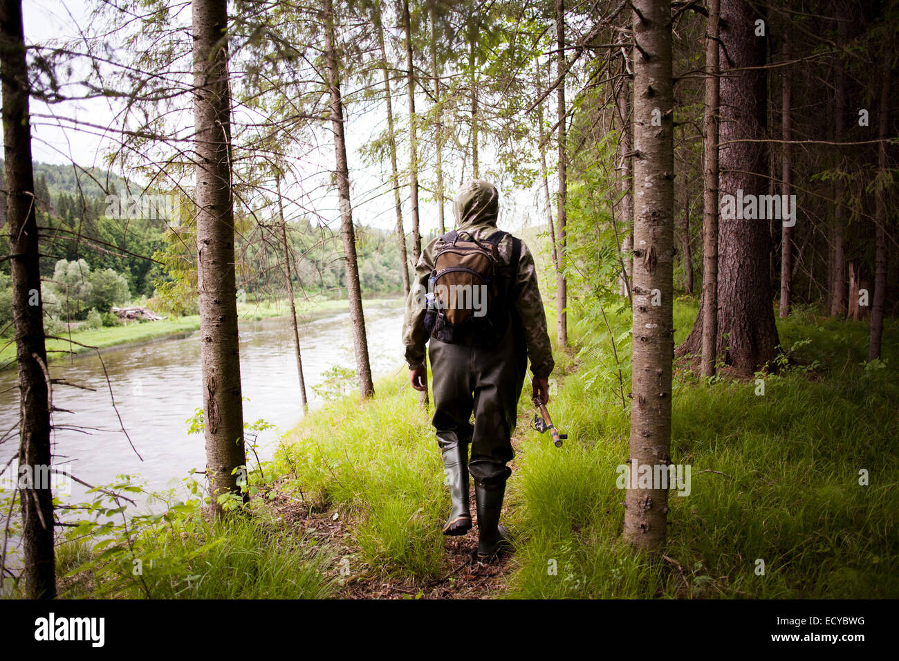 Mari man in wading boots walking near river in forest Stock Photo - Alamy