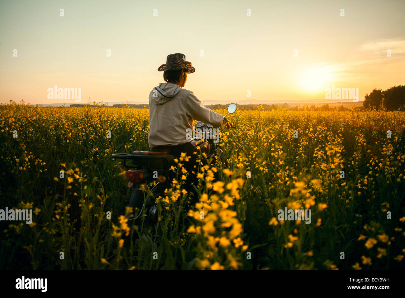 Mari man riding motorcycle in field of flowers Stock Photo - Alamy