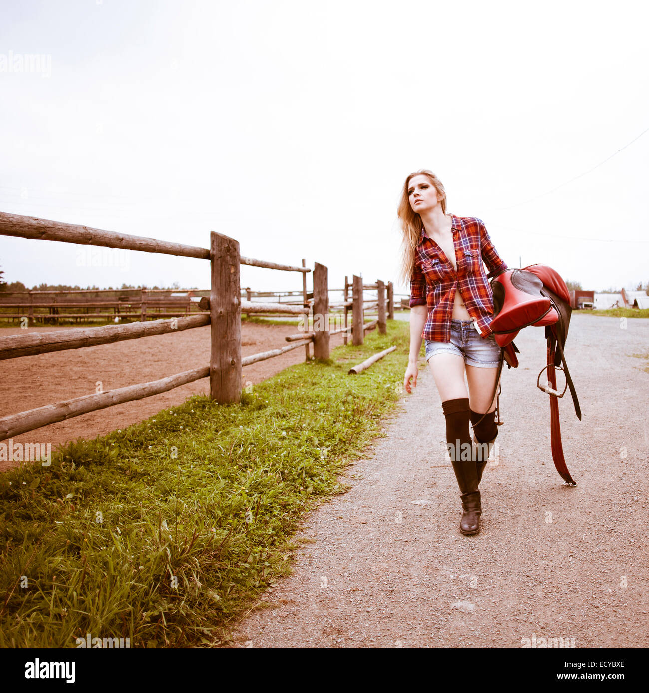 Cowgirl On Horse High Resolution Stock Photography and Images - Alamy