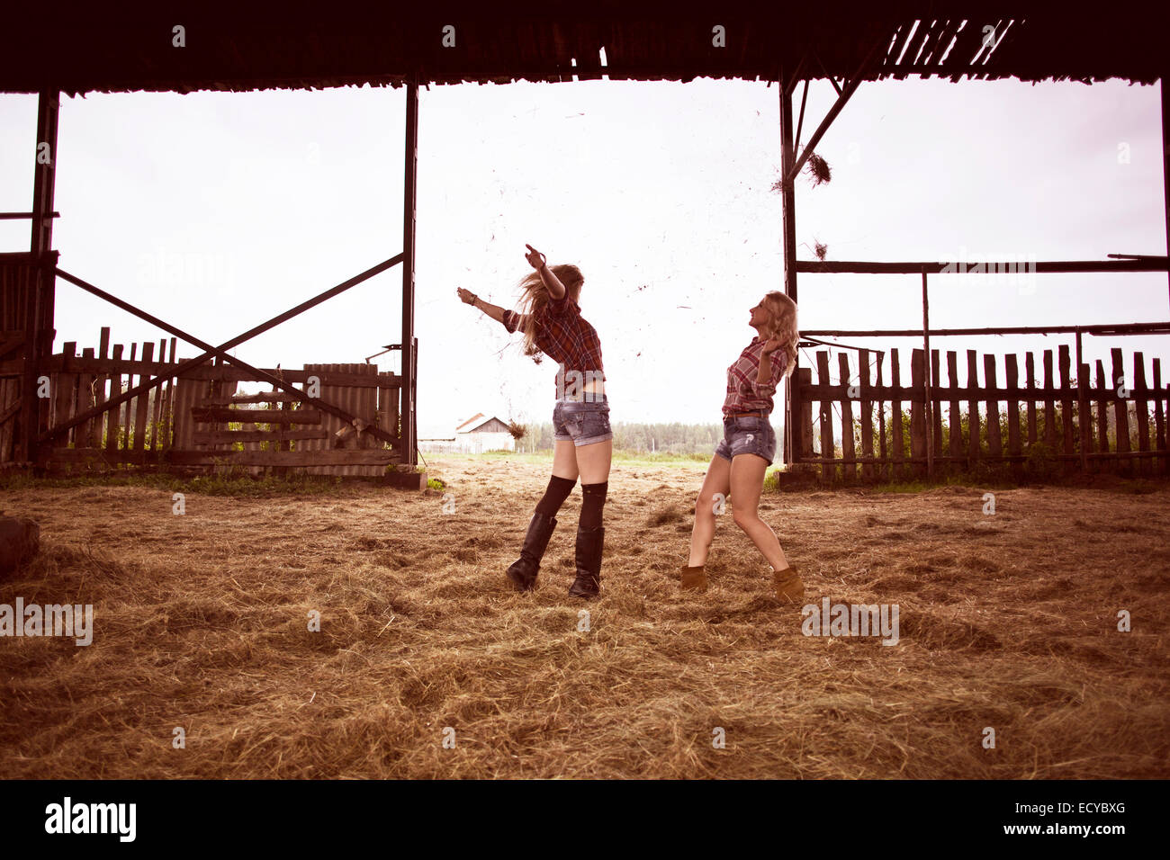 Caucasian women playing in hay in barn Stock Photo - Alamy