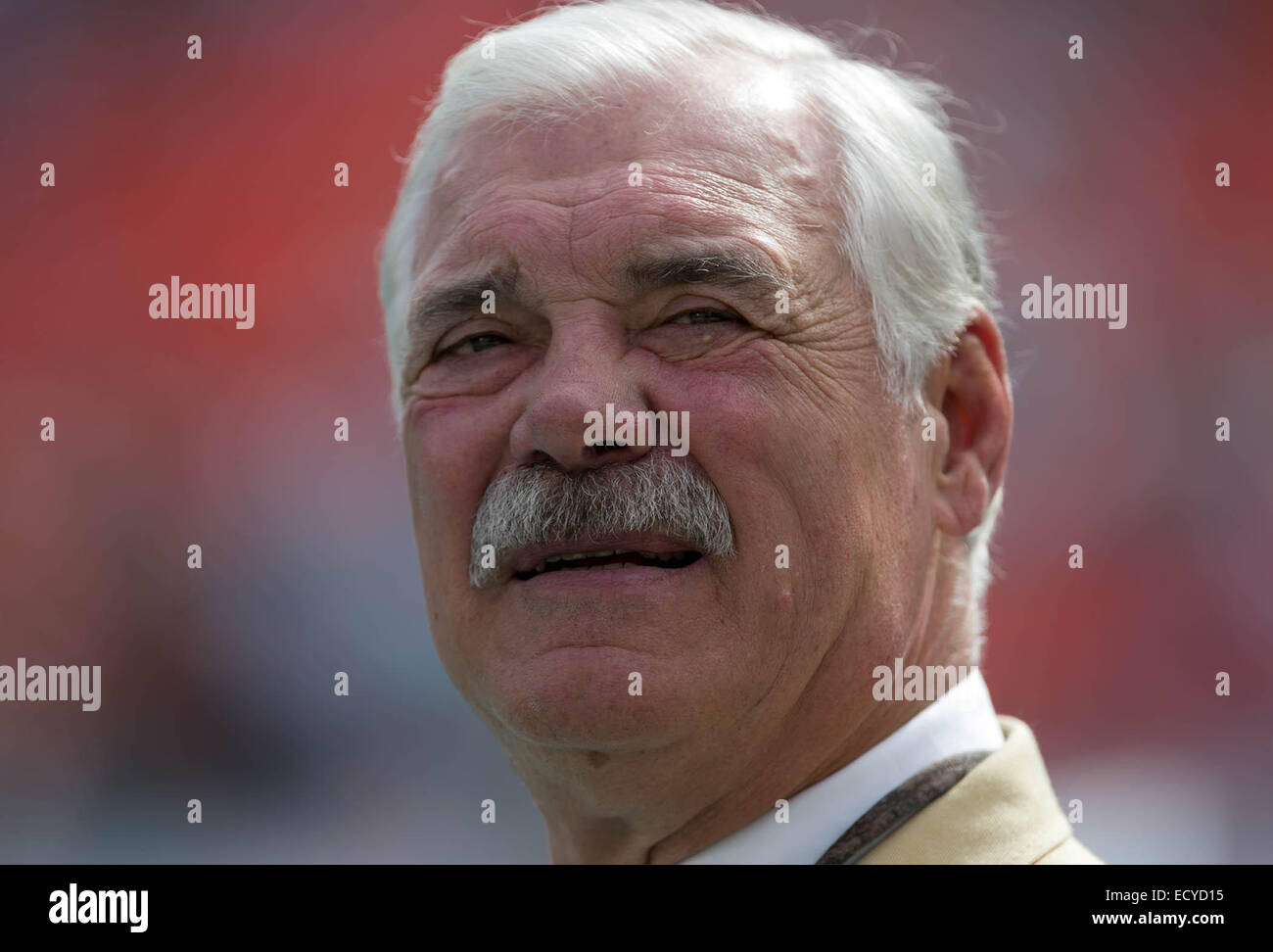 Miami, Florida, USA. 21st Dec, 2014. Former Dolphin Larry Csonka at Sun ...