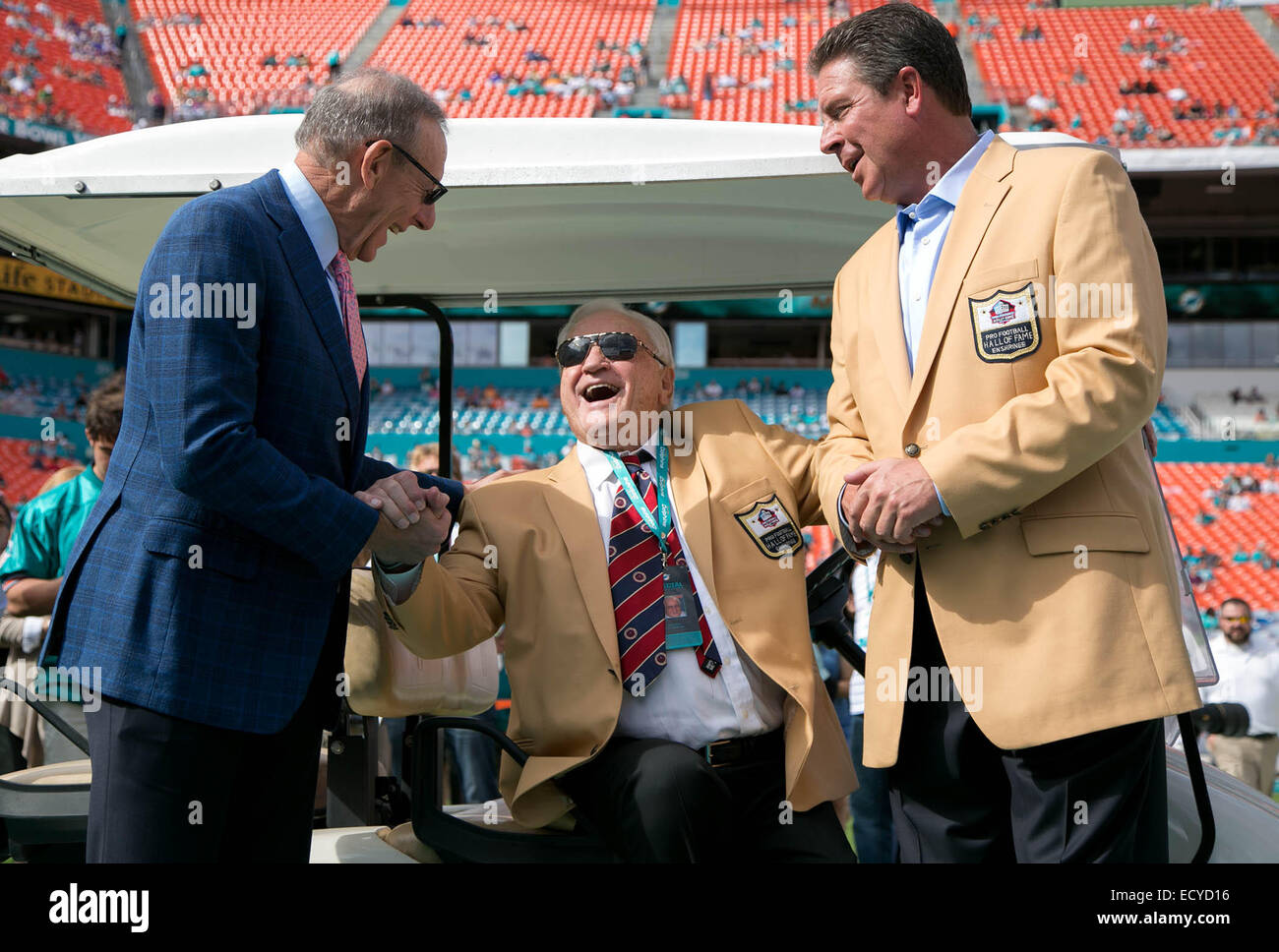 Miami, Florida, USA. 21st Dec, 2014. Miami Dolphins owner Stephen Ross ...