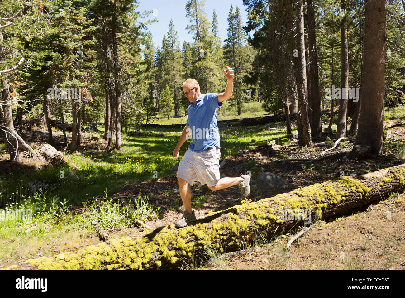 Man walking on log in forest Stock Photo - Alamy