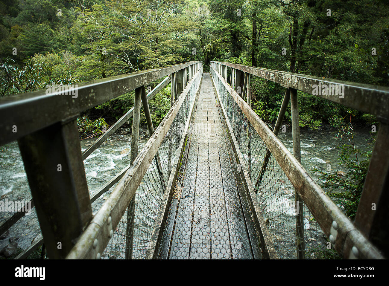 Wooden bridge over river in forest Stock Photo - Alamy