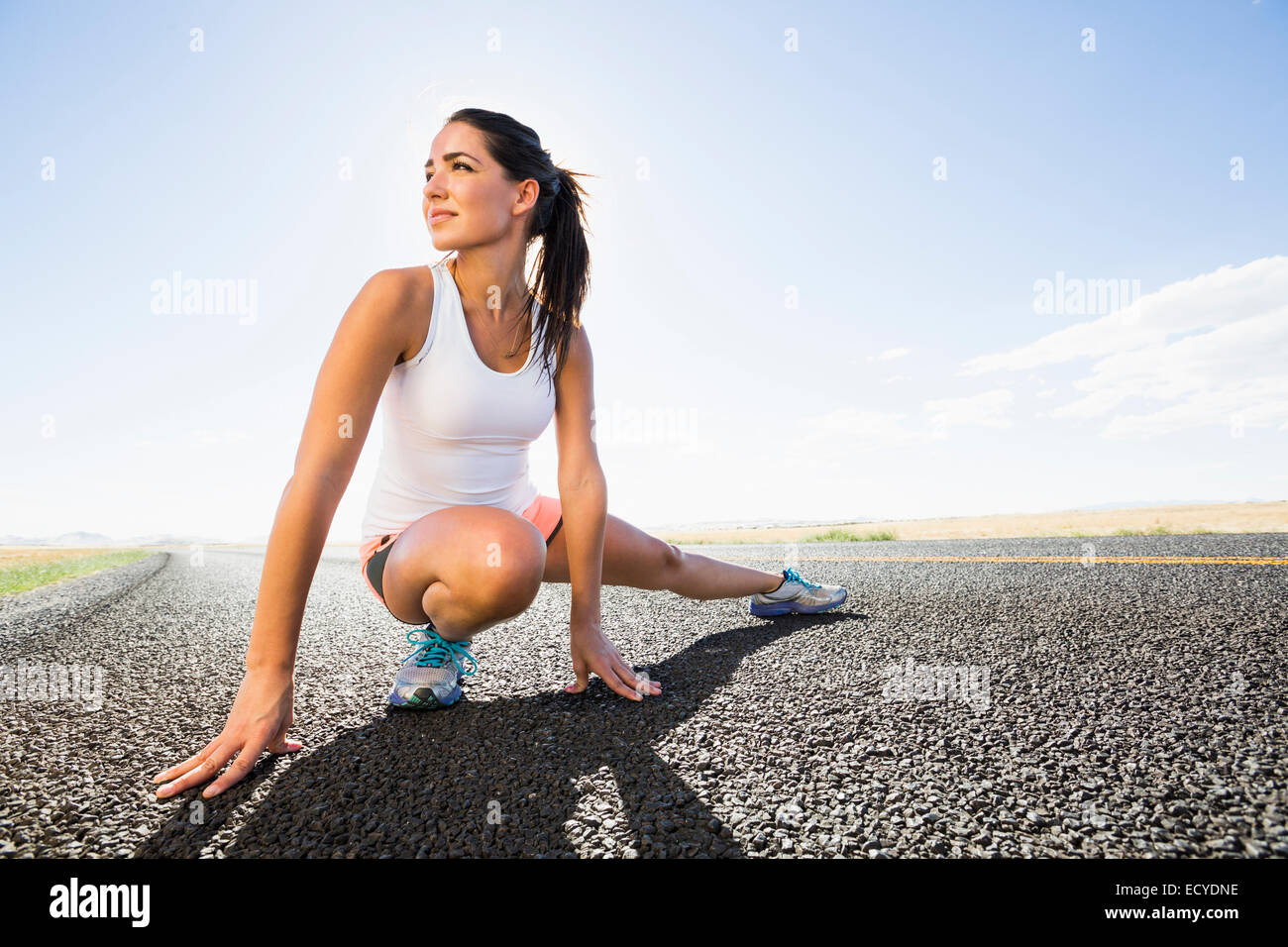 Road runner road hi-res stock photography and images - Alamy