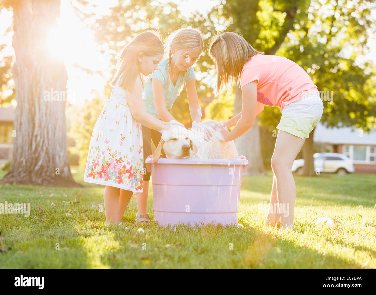 Caucasian child and dog hi-res stock photography and images - Alamy
