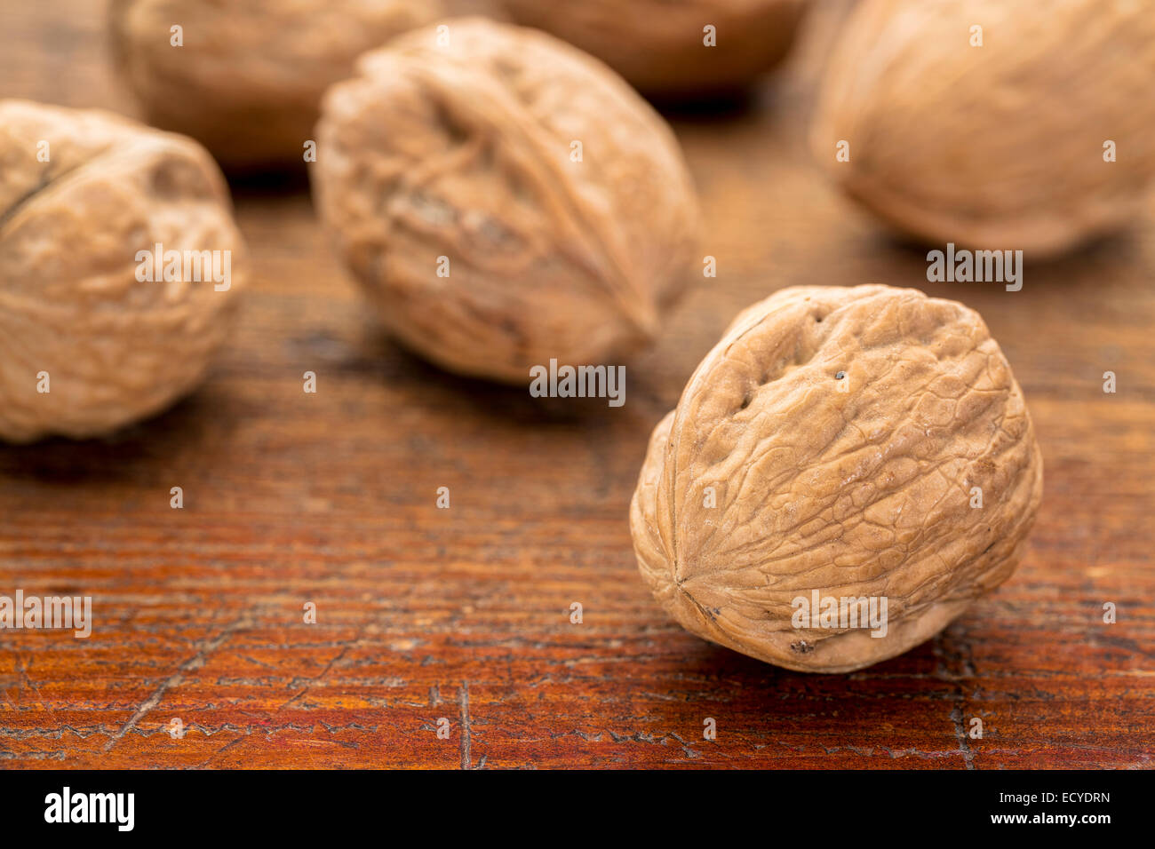 English walnut hi-res stock photography and images - Alamy