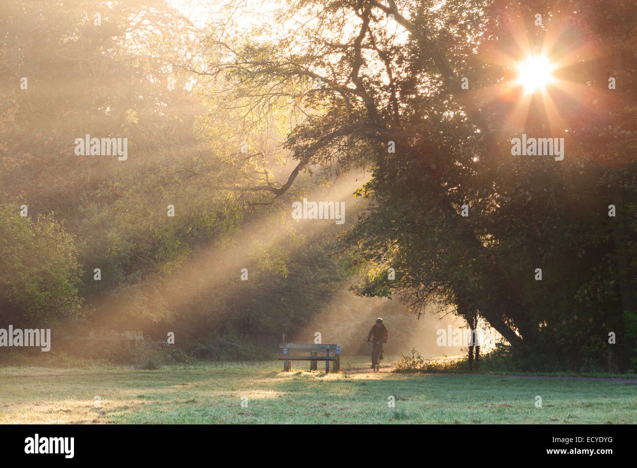 Cyclist on the path Vicar's Brook Cambridge UK Stock Photo - Alamy