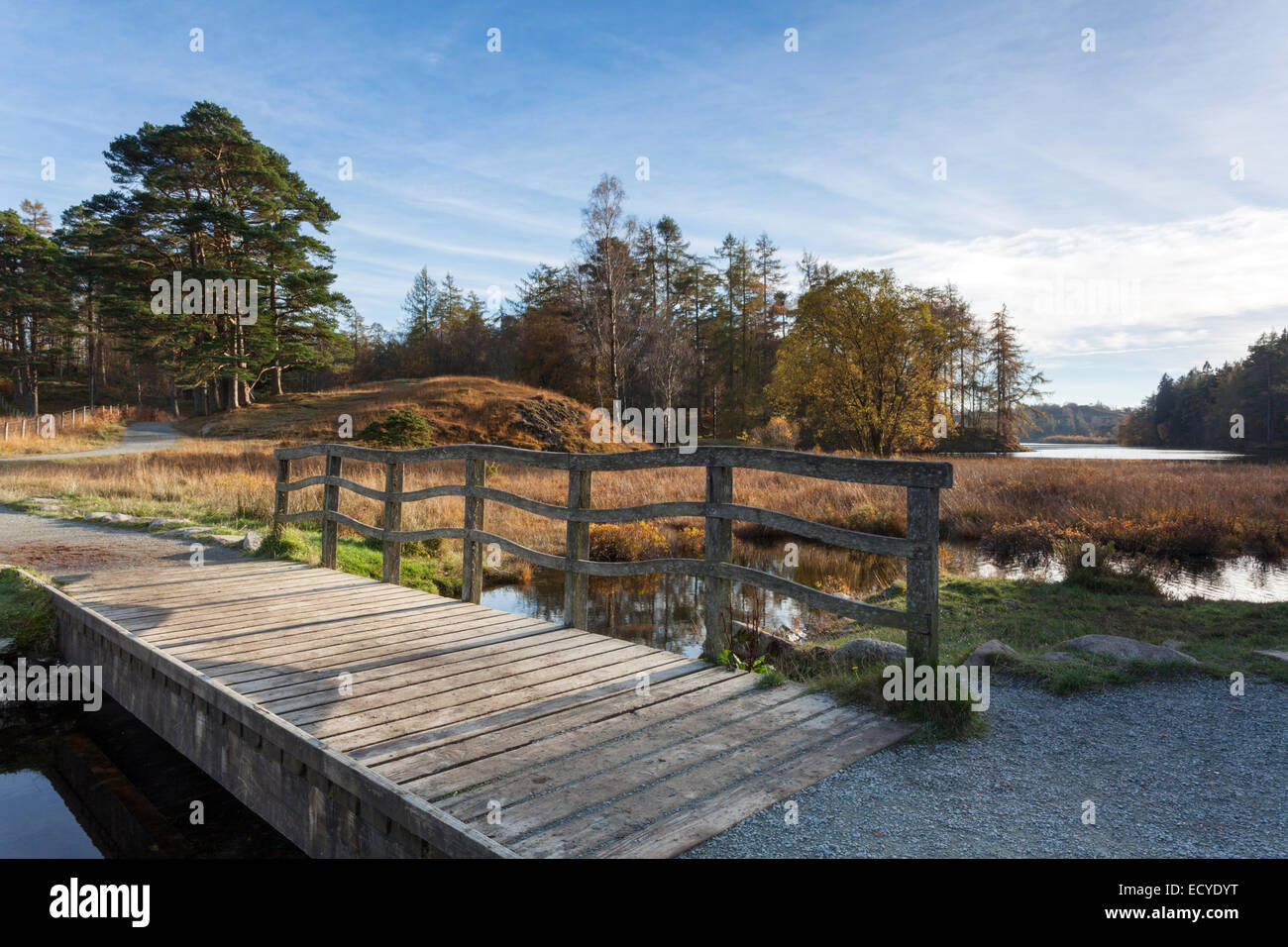 Wooden bridge on the path Tarn Hows, English Lake District Stock Photo ...