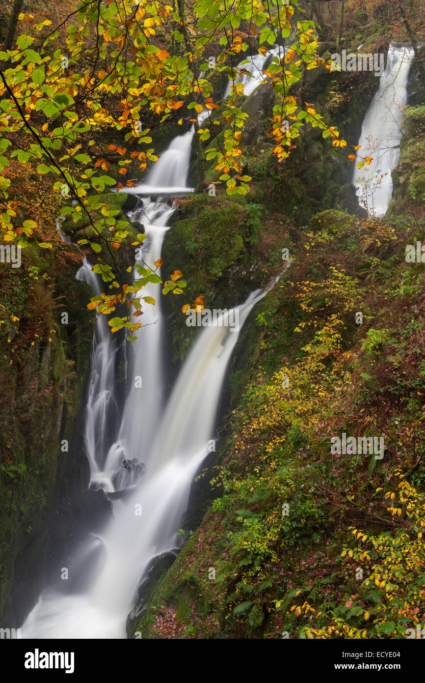 Stockghyll Force Waterfalls Ambleside Cumbria, Lake District, UK Stock ...