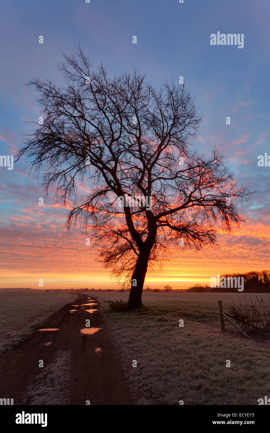 Stapleford South Cambridge Sunrise across farm fields Stock Photo - Alamy
